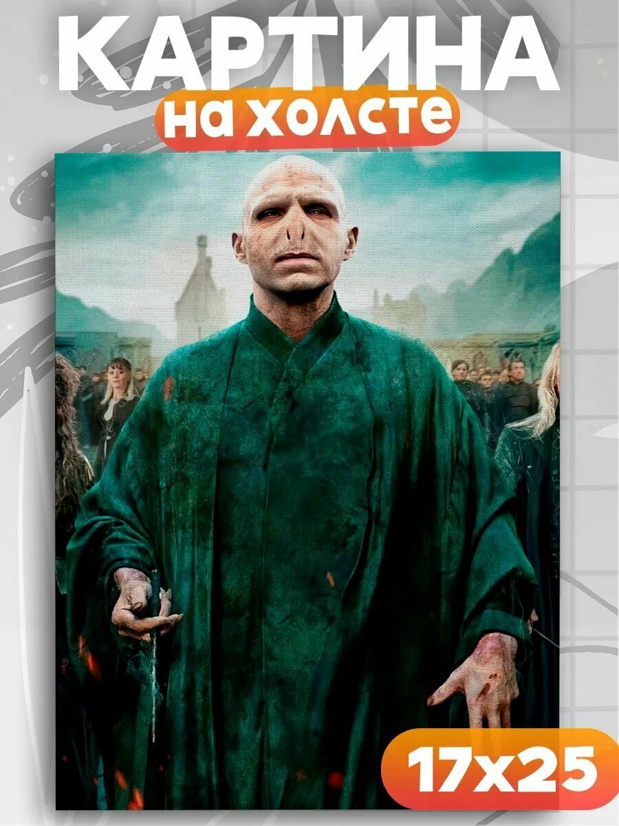 Картина на стену Гарри Поттер, на подрамнике, 1шт, 25х17 размер.
