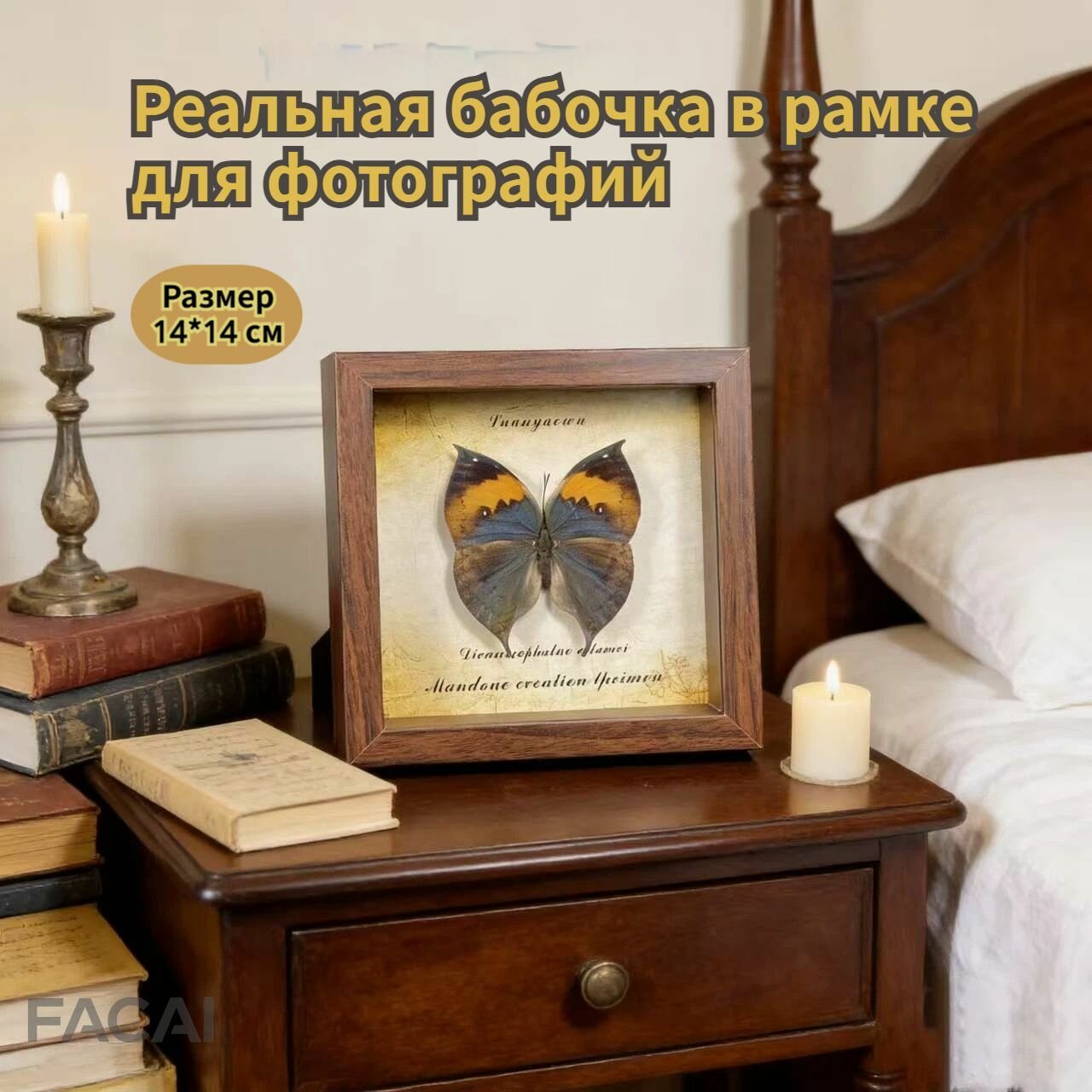 Бабочки в рамке, коллекция настоящих бабочек