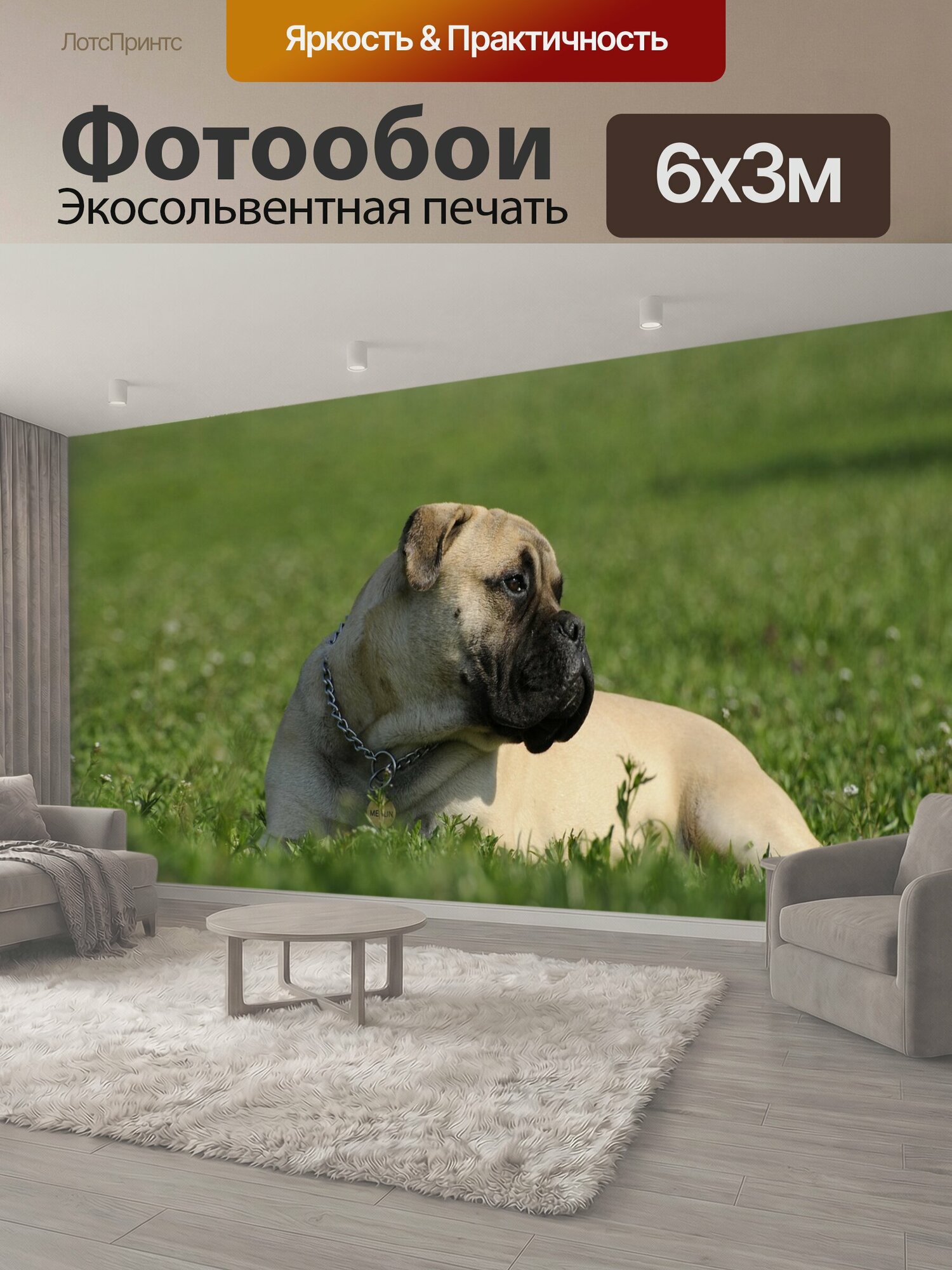 Фотообои "Бульмастиф, собака, трава" 600x300 см. экосольвентная печать