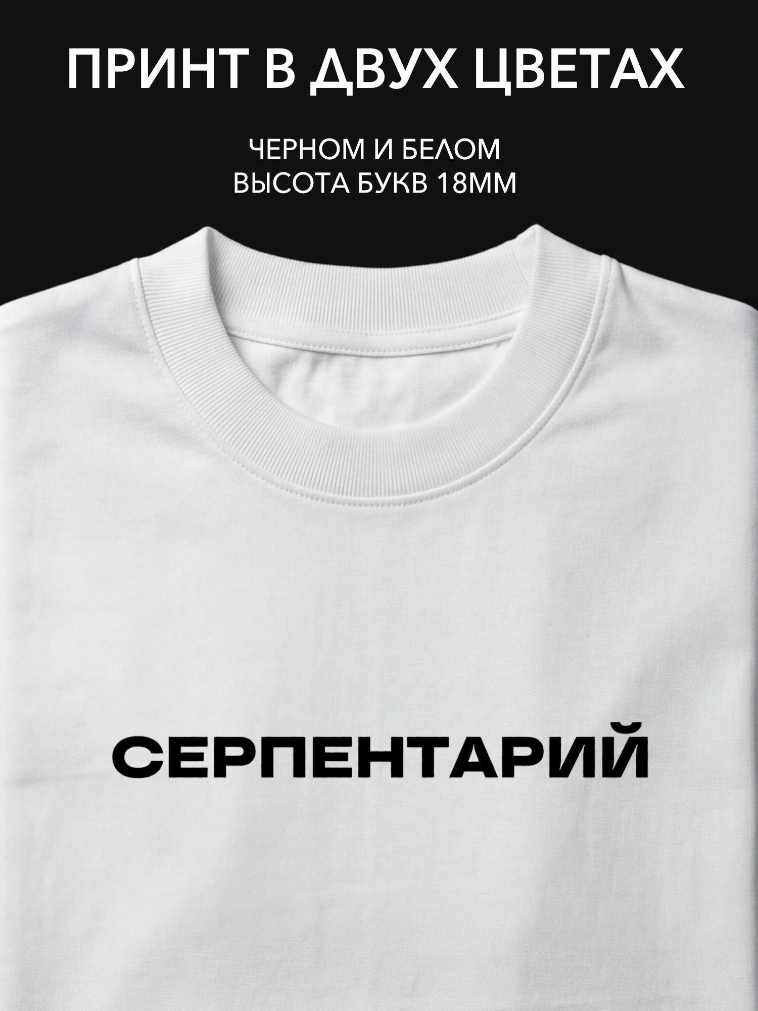 Термопринт надпись на одежду для тематической вечеринки в серпентарии: оригинальные принты для вашего стиля