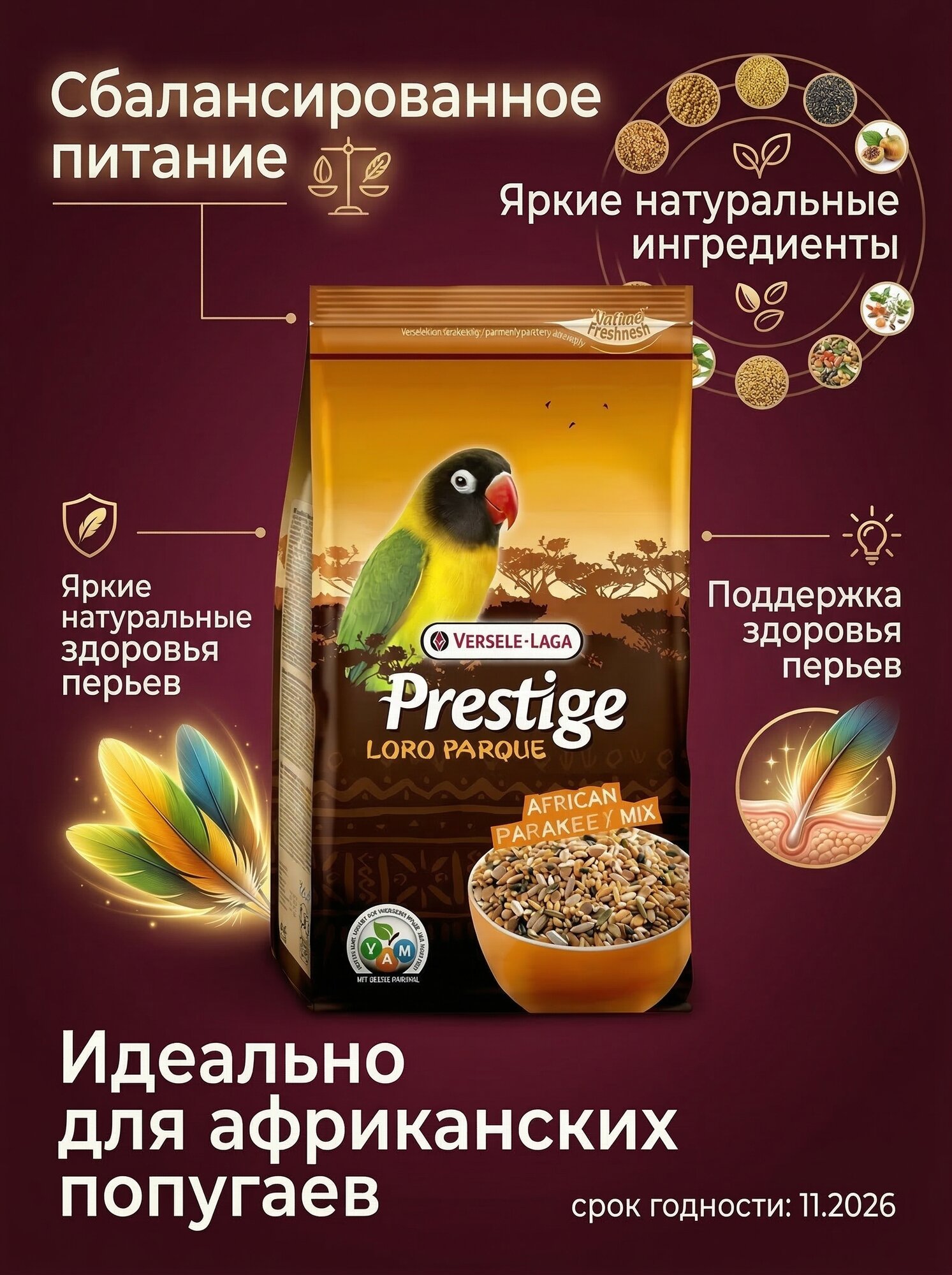 Зерновая смесь для африканский попугаев