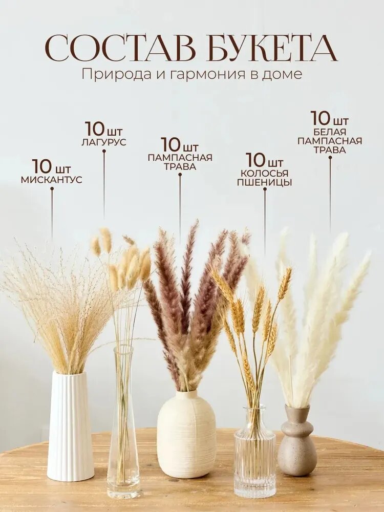 Сухоцветы Эвкалипт, 50 см, 10 шт