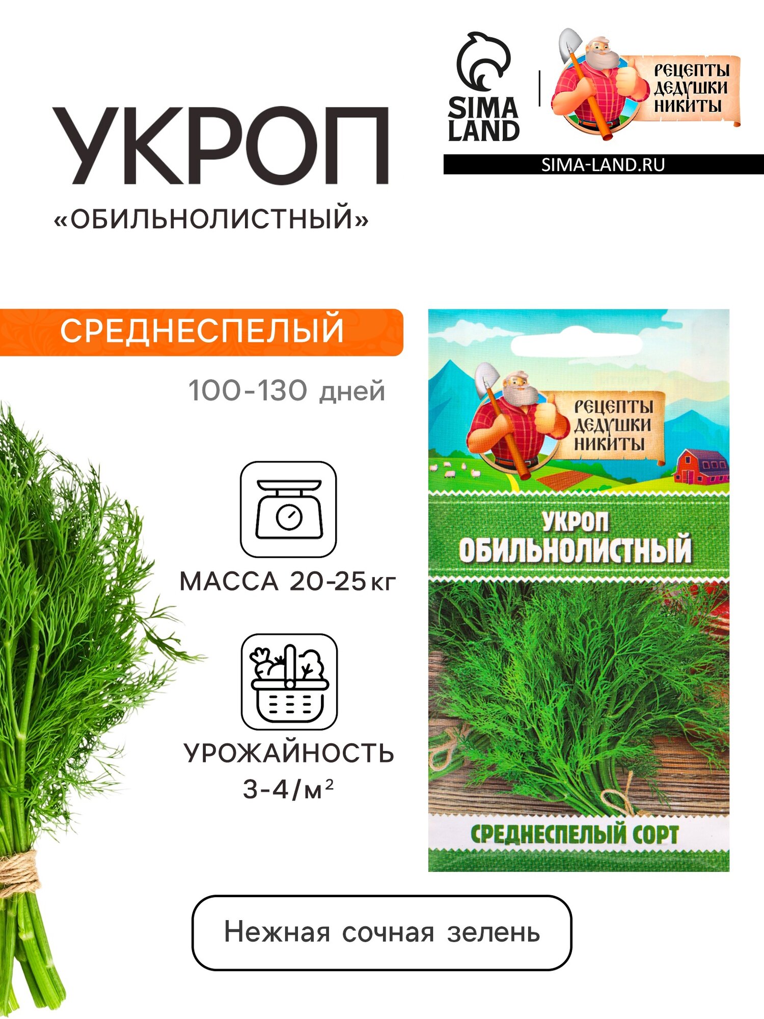 Семена Укроп «Обильнолистный», 2 г, «Рецепты дедушки Никиты»
