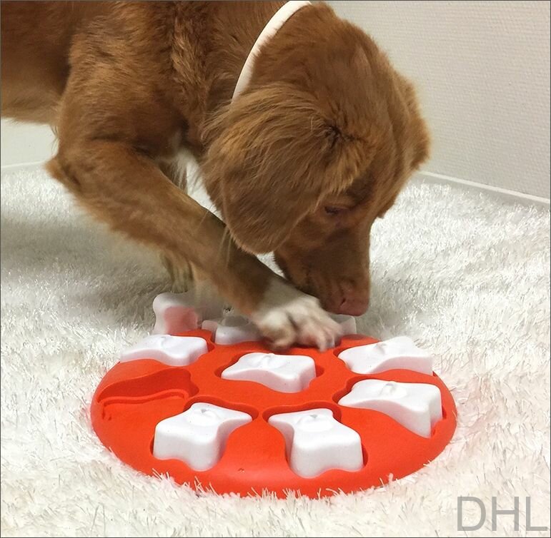 Интерактивная игрушка для собак DOG SMART, 1 (начинающий) уровень сложности, 27 см