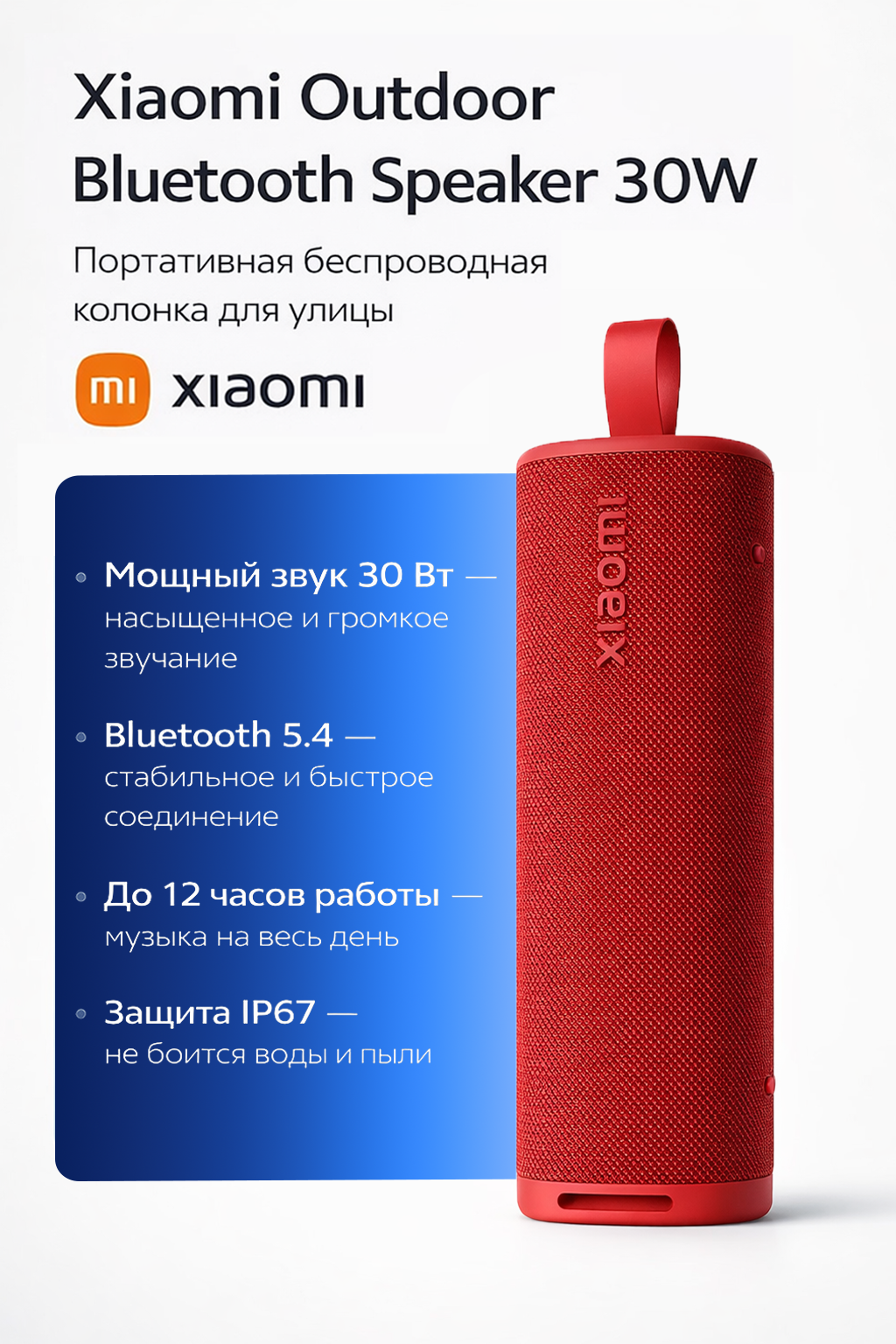 Bluetooth колонка Xiaomi Sound Outdoor 30W S29D Red MDZ-38-DB, Красная