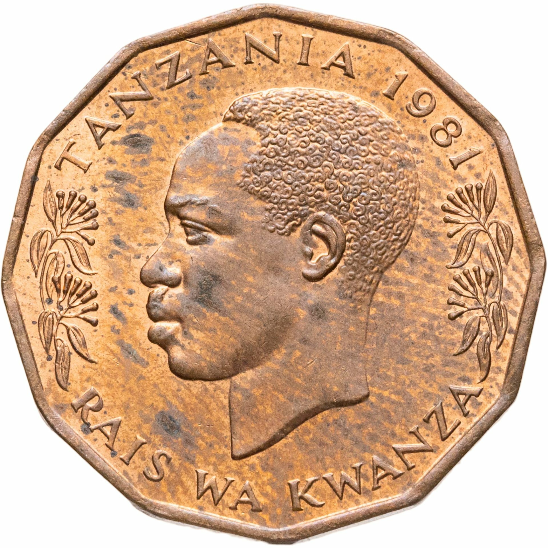 Танзания 5 центов cents 1981, Бронза, в сохранности AU