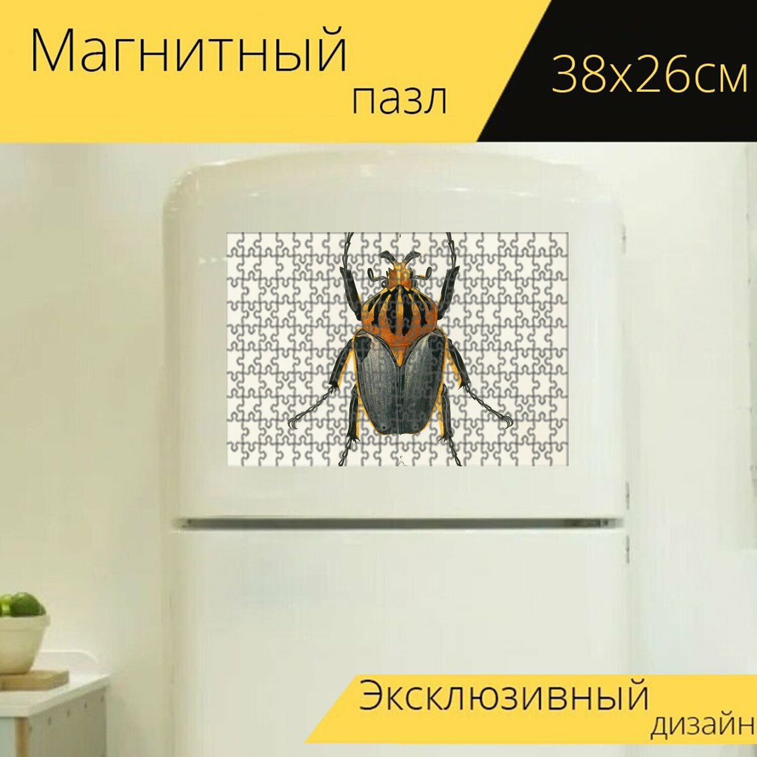Магнитный пазл "Жук винтаж арт старый Жук Голиаф Касик Насекомое Винтажное искусство Старая антикварная живопись Рисунок Классная доска Книжная иллюстрация." для интерьера, 38х26 см.