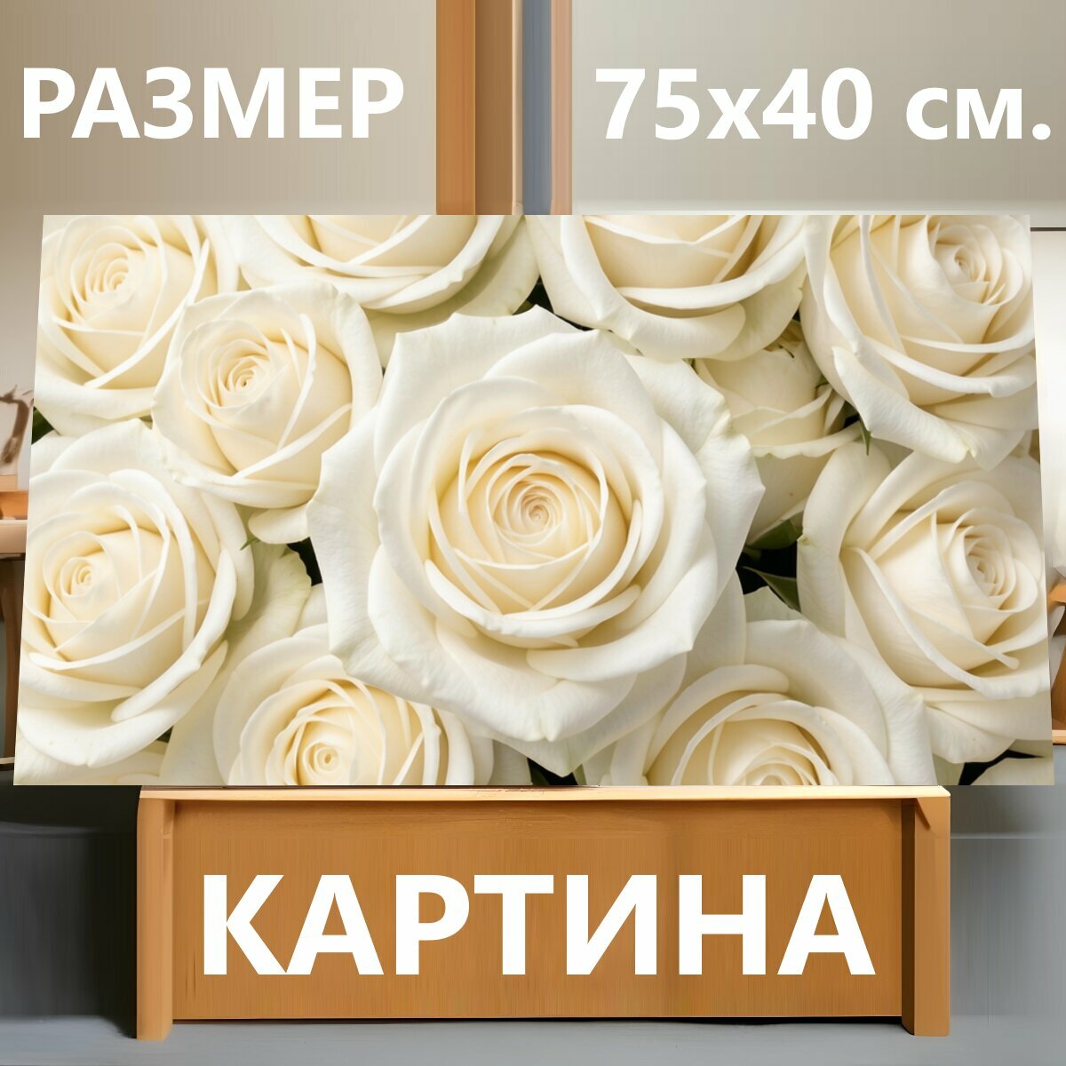 Картина на холсте "Белые розы крупным планом. Нежная композиция из светлых бутонов в кремово-белой гамме, плотное цветочное поле, романтичный и." на подрамнике 75х40 см. для интерьера