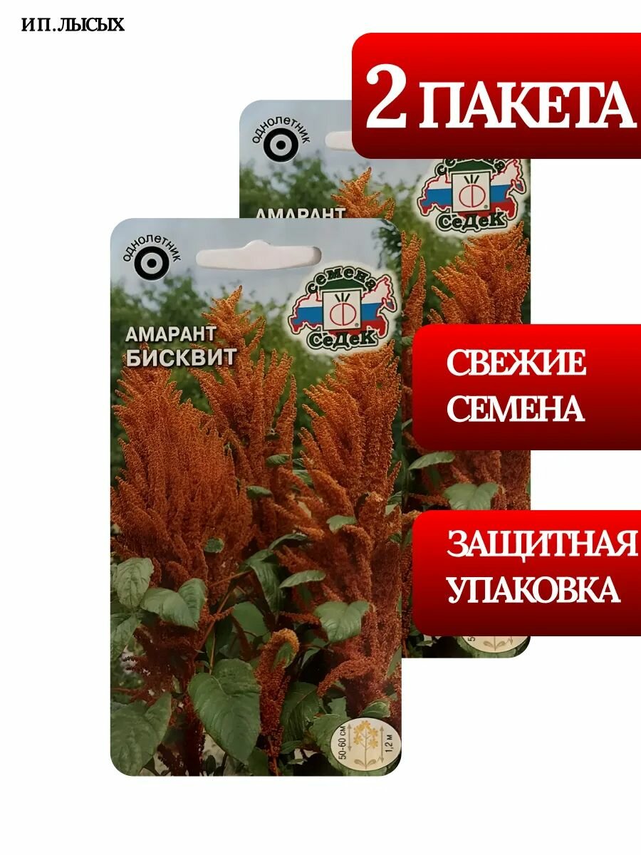 Семена Амарант "Бисквит"