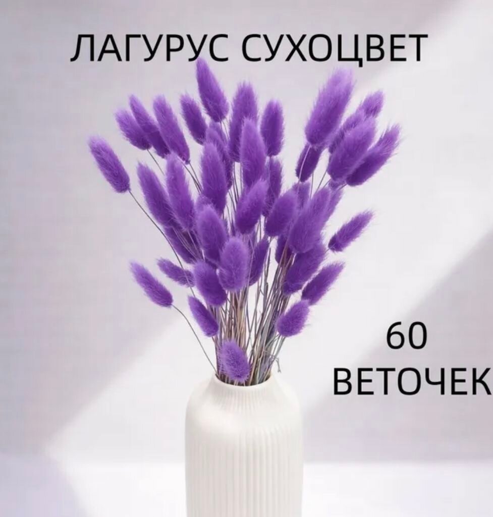 Сухоцветы Лагурус, 55 см, 100 гр, 60 шт