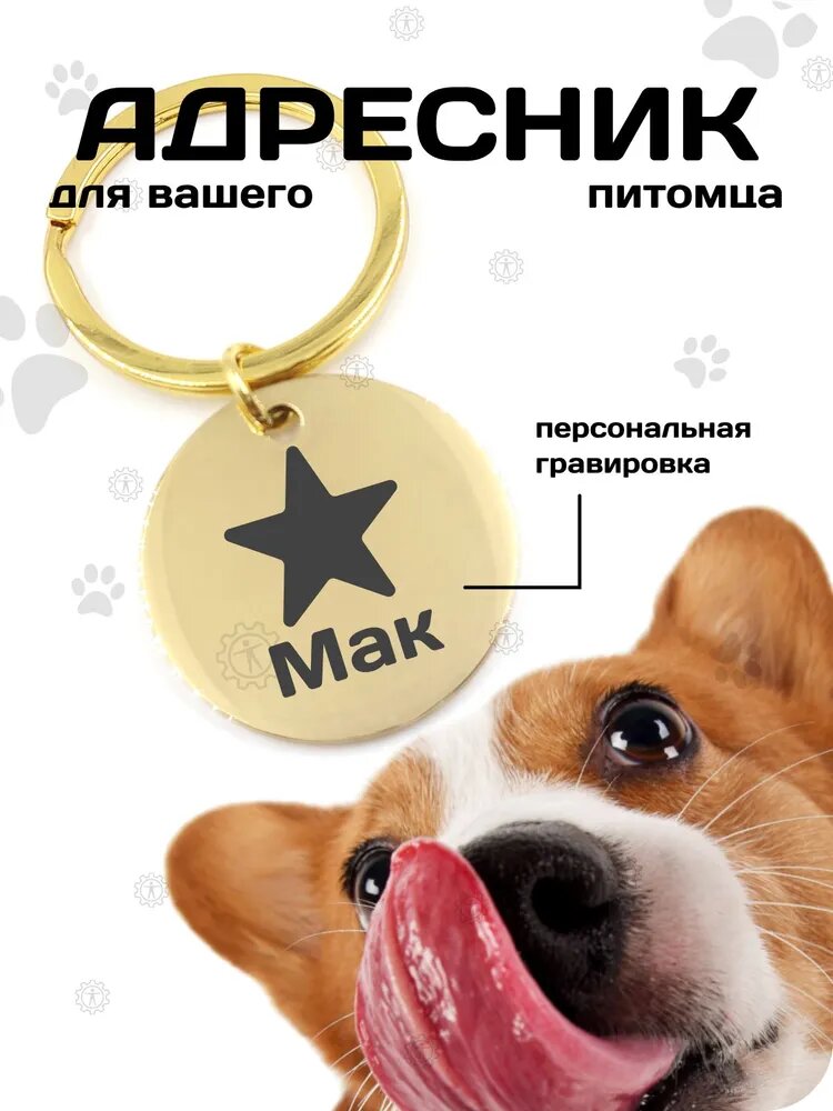 Адресник с гравировкой для собак "Круг", на ошейник, 30 мм x 30 мм, золотой