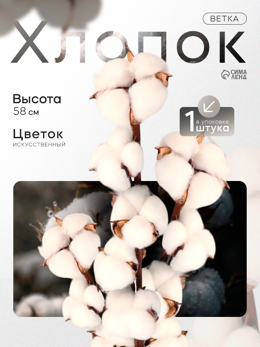 Декор сухоцвет Poetry in flowers "Хлопок", d=5см, длина 70 см