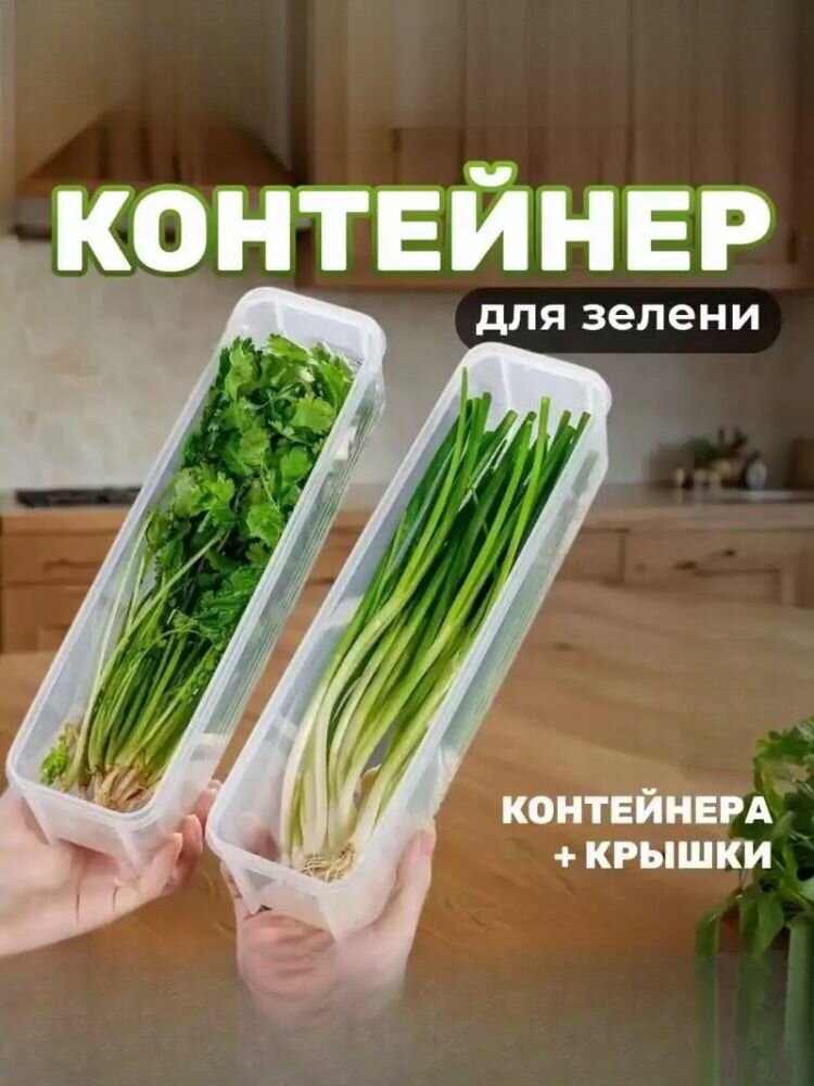 Контейнер пищевой "Контейнер для зелени в холодильник", 1000 мл, 4 шт