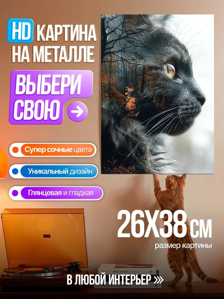 Картина на HD металле Черный кот лес