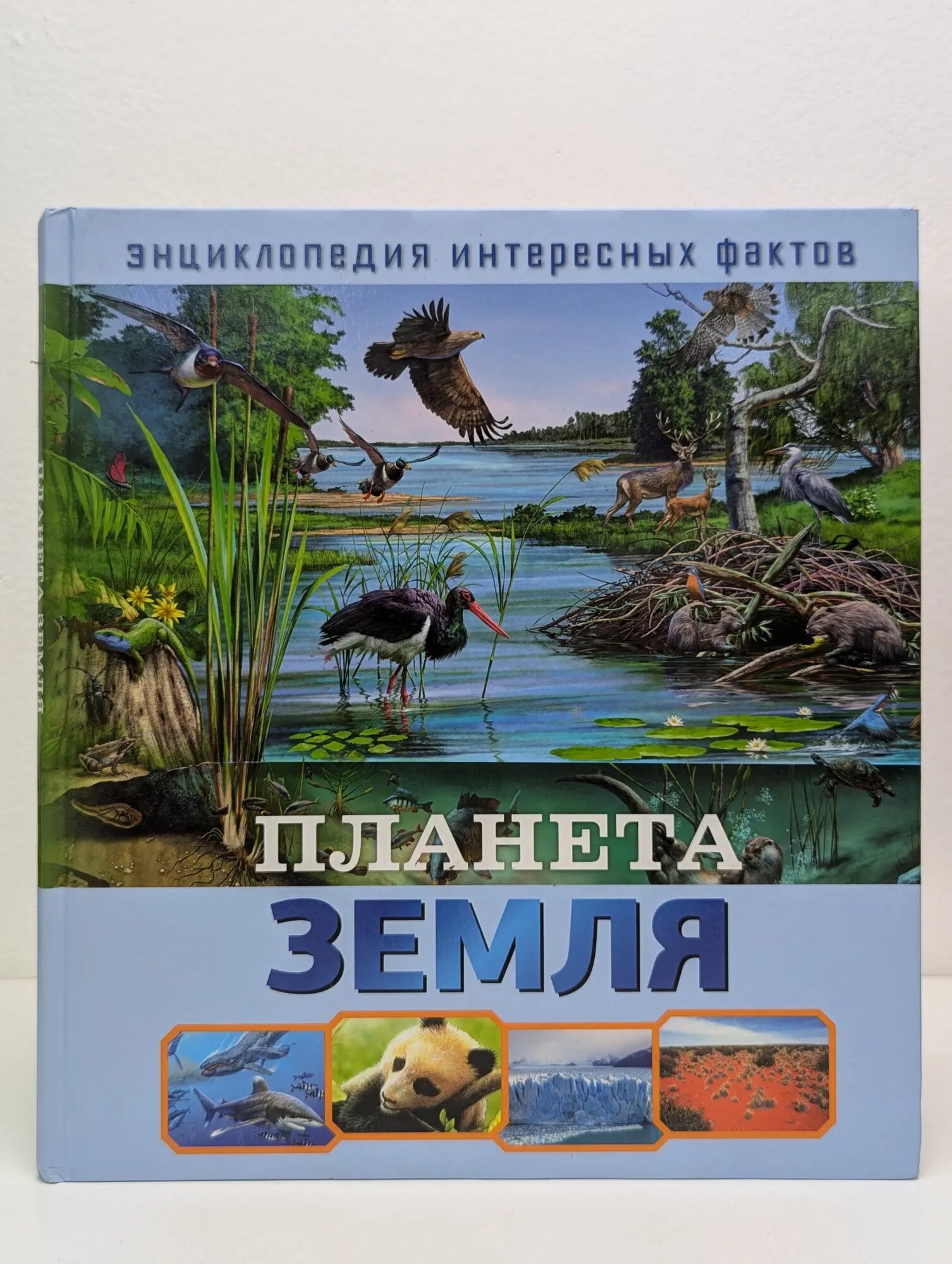 Энциклопедия интересных фактов. Планета Земля Денс Юдит 2019