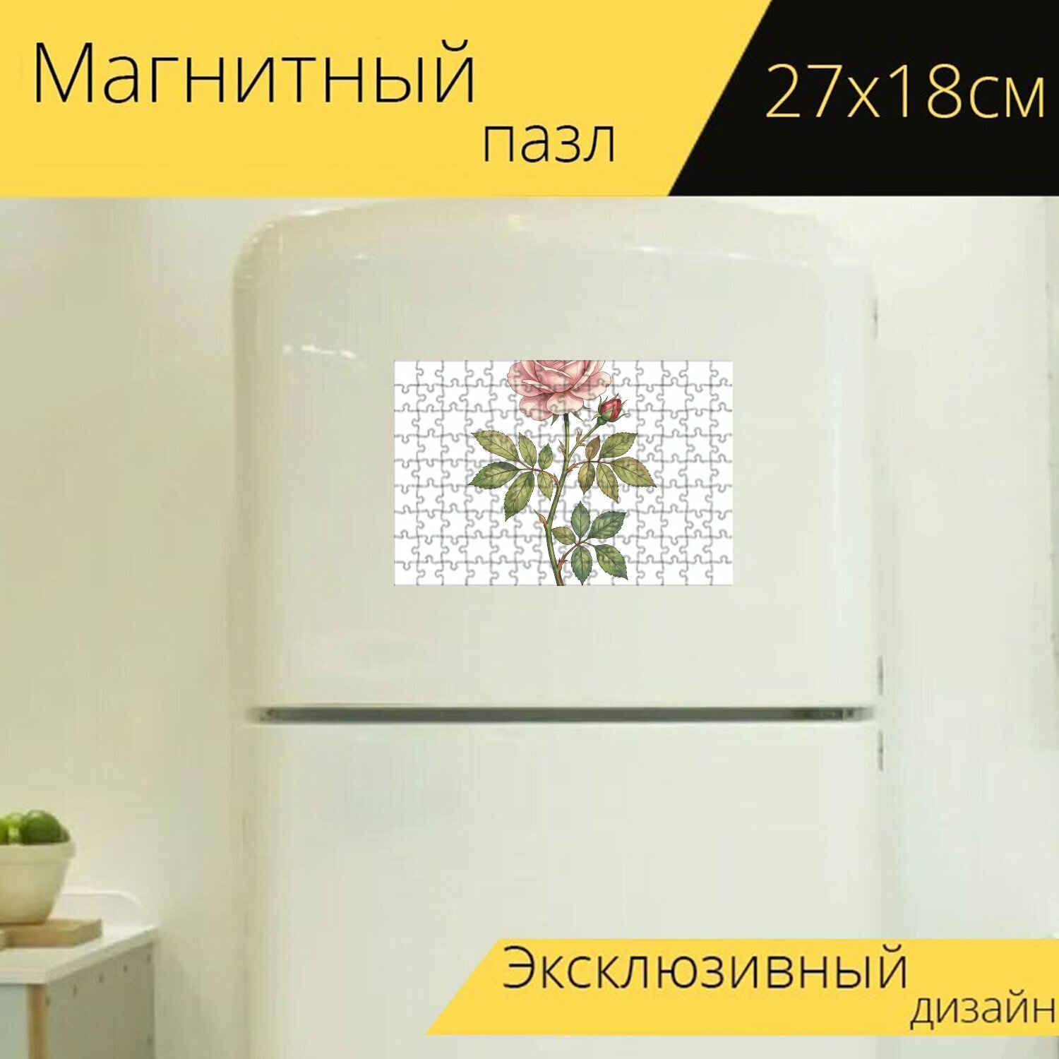 Магнитный пазл "Нежная роза с бутоном. Изящный ботанический рисунок светло-розового цветка с зелёной листвой и нераскрывшимся бутоном. Нежная акварельная." на холодильник 27 x 18 см.