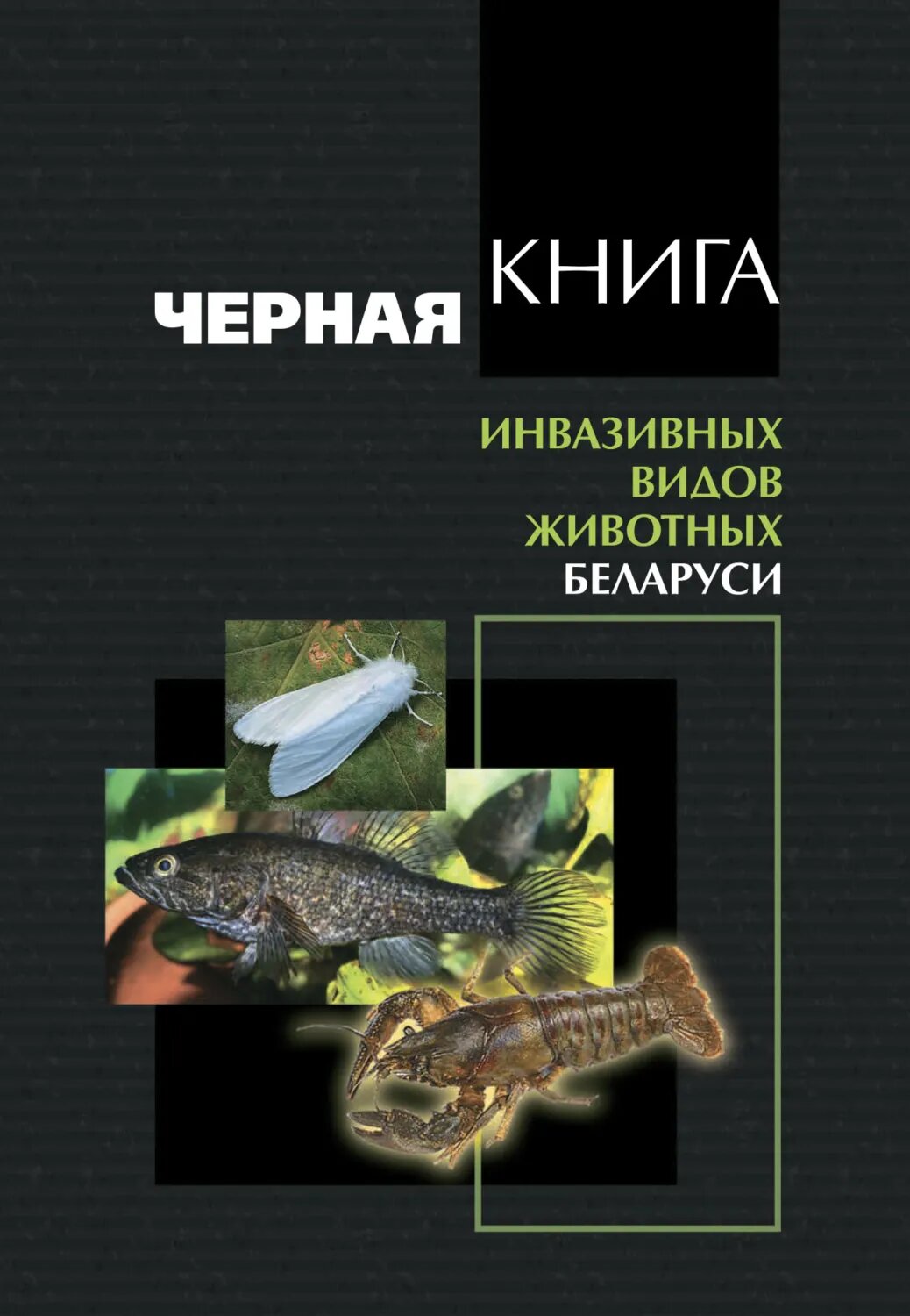 Черная книга инвазивных видов животных Беларуси [Цифровая книга]