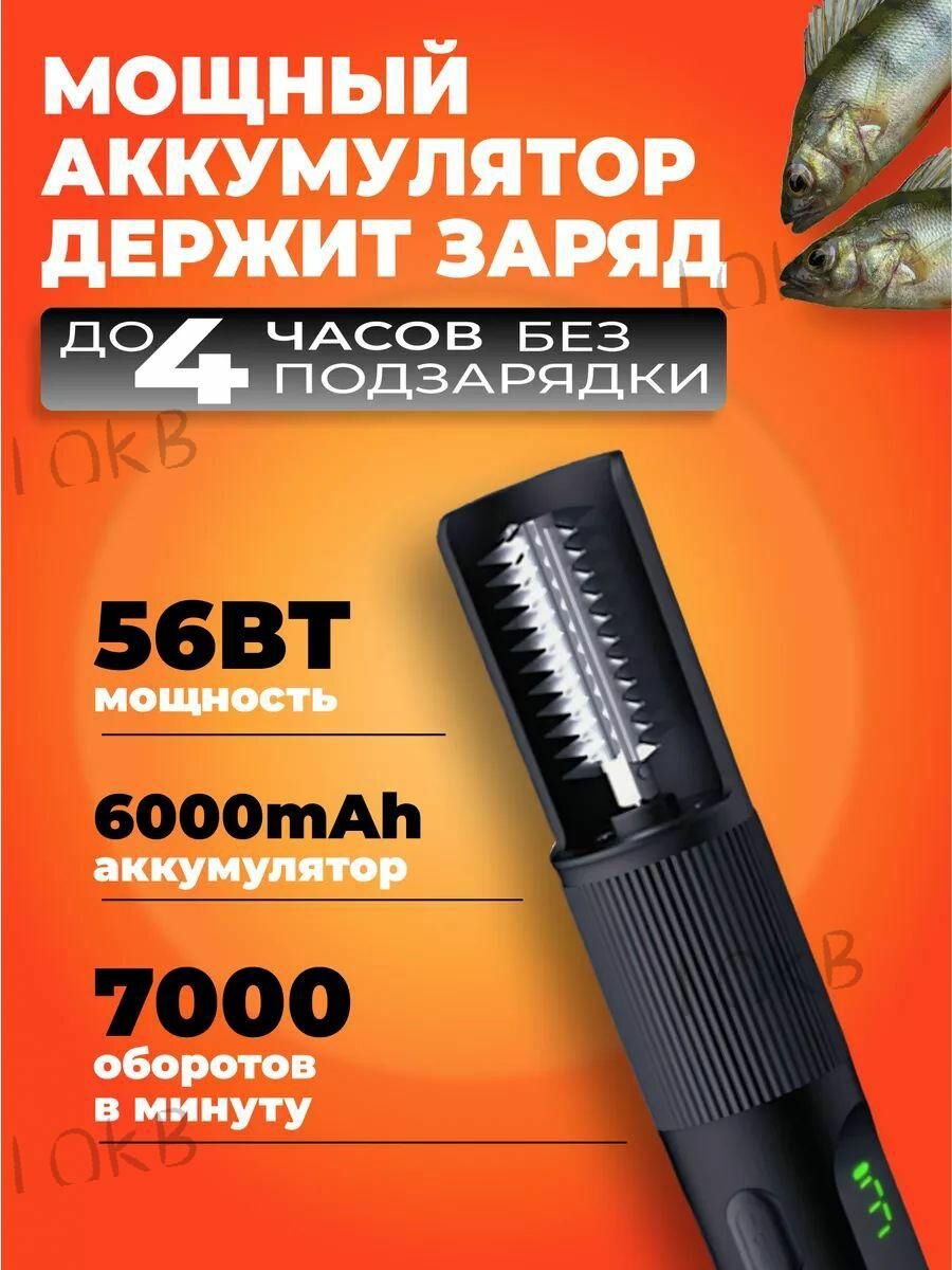 Рыбочистка — фото 1