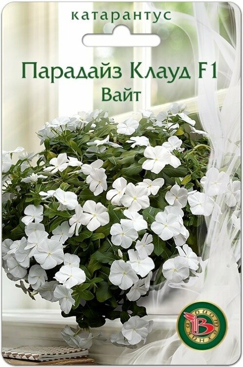 Семена катарантуса БиоТехника Парадайз клауд вайт, ампельный, 5 шт