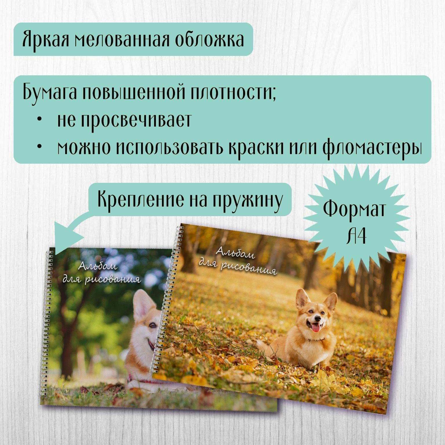Альбомы для рисования Корги — фото 1