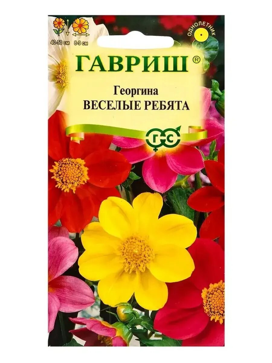 Набор семян георгина для яркого сада