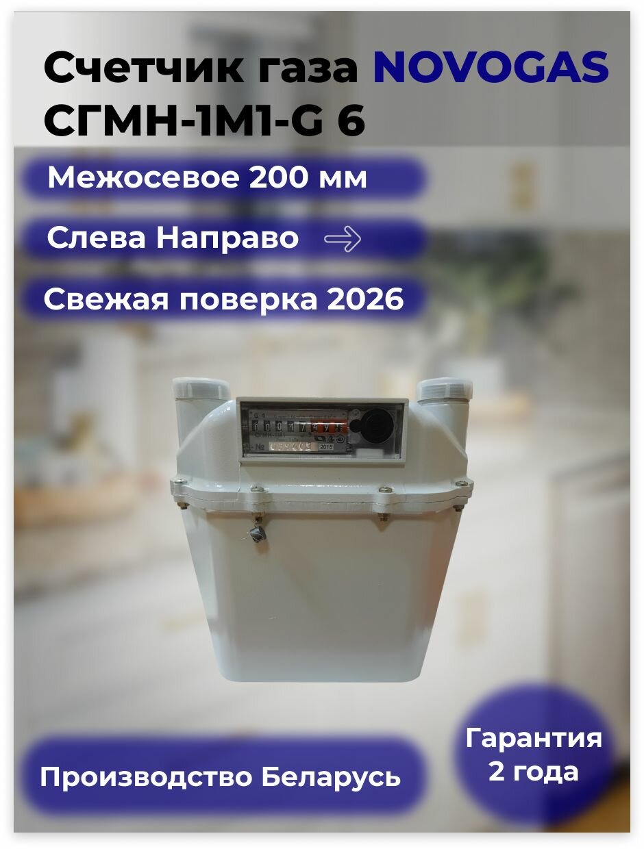 Счетчик газа NOVOGAS СГМН-1М1-G 6 межосевое 200 мм, левый 1 1/4" слева направо