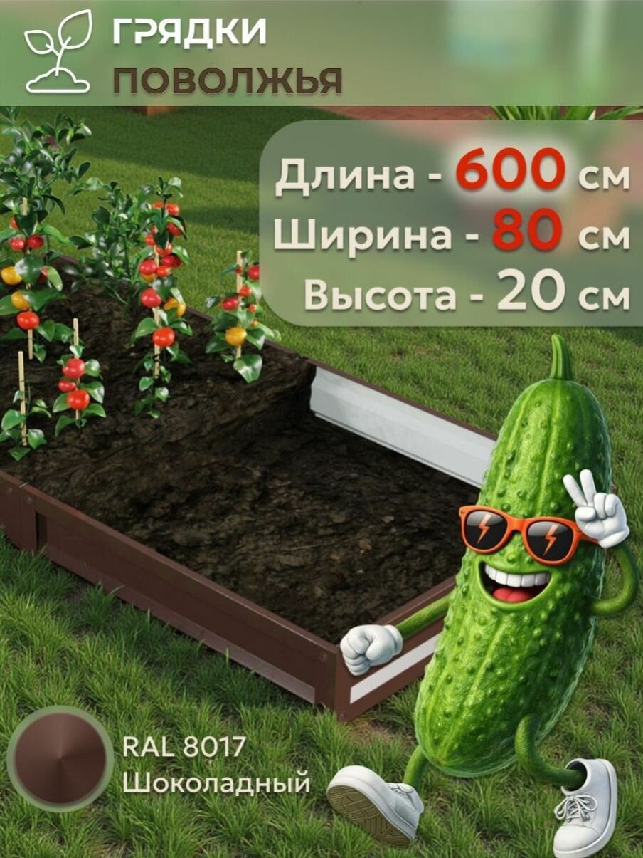 Грядка усиленная оцинкованная 6х0,8 м, высота 20 см, Цвет: RAL 8017 шоколадно-коричневый