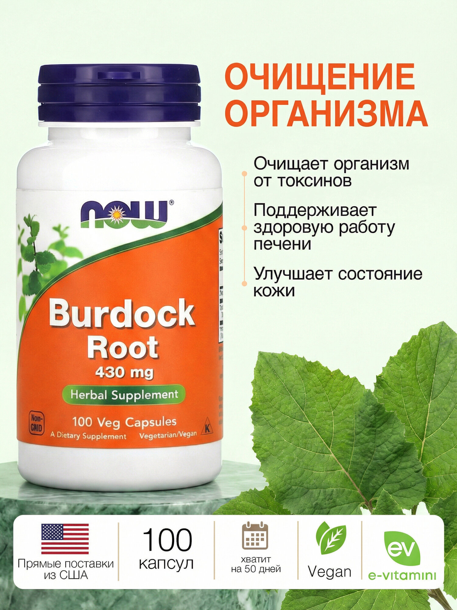NOW Foods, корень лопуха, 430 мг, поддерживает здоровье пищеварительной системы 100 вег капсул