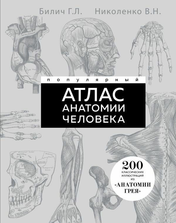 Анатомический атлас МЕДпроф Популярный атлас анатомии человека. Анатомия Грея. 200 классических иллюстраций, Николенко В. Н, Билич Г. Л. 2025 г.