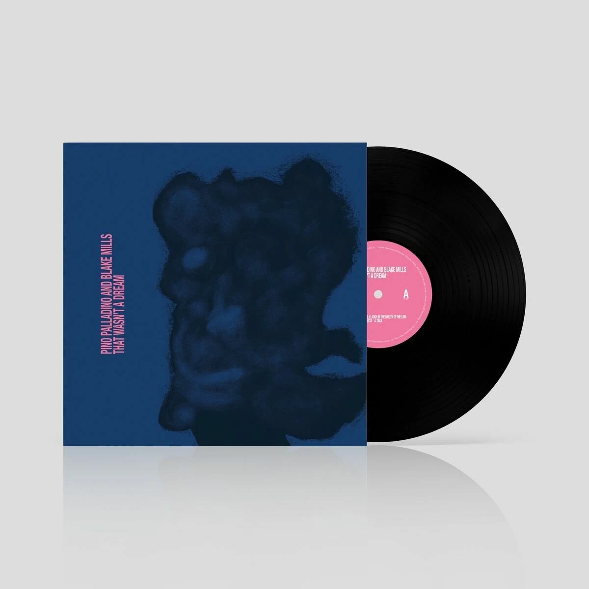 Виниловая пластинка Pino Palladino, Blake Mills - That Wasn't A Dream (LP) 2025