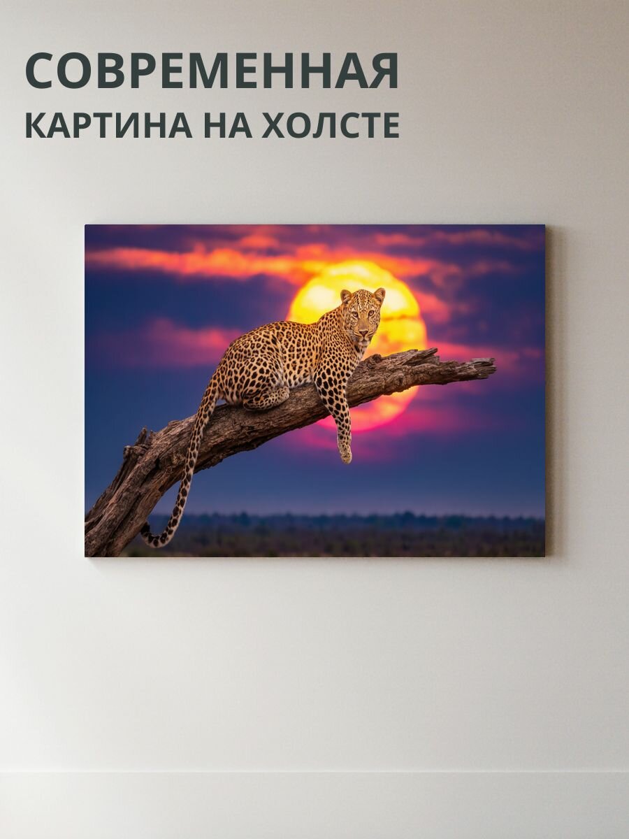 Картина на холсте Леопард в дикой природе 70x50 см