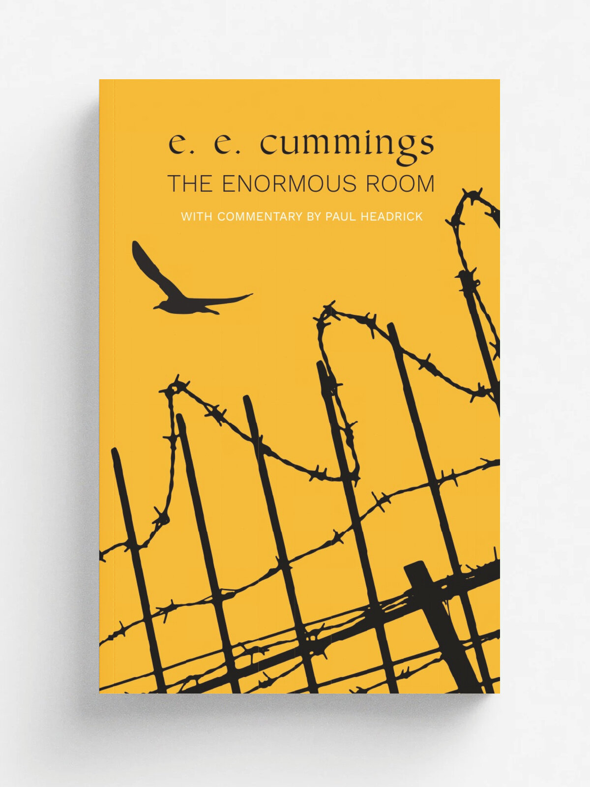 The Enormous Room (Warbler Classics)