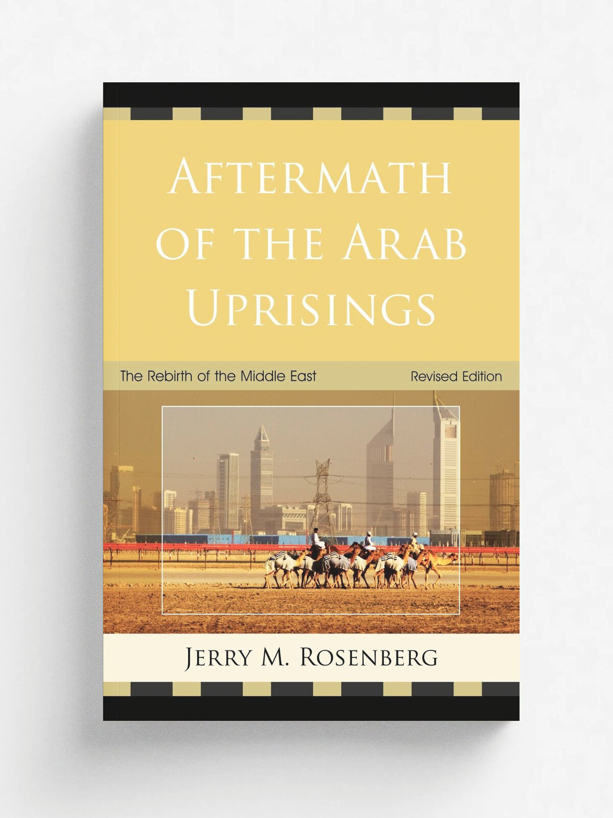 Aftermath of the Arab Uprisings. The Rebirth of the Middle East