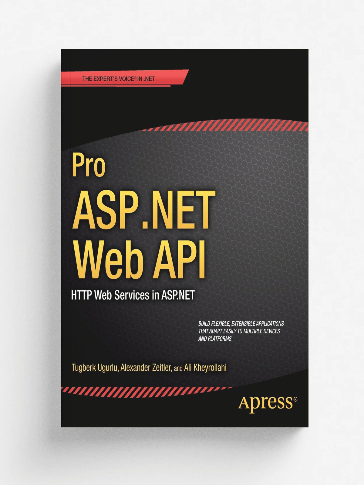 Pro ASP.NET Web API. HTTP Web Services in ASP.NET