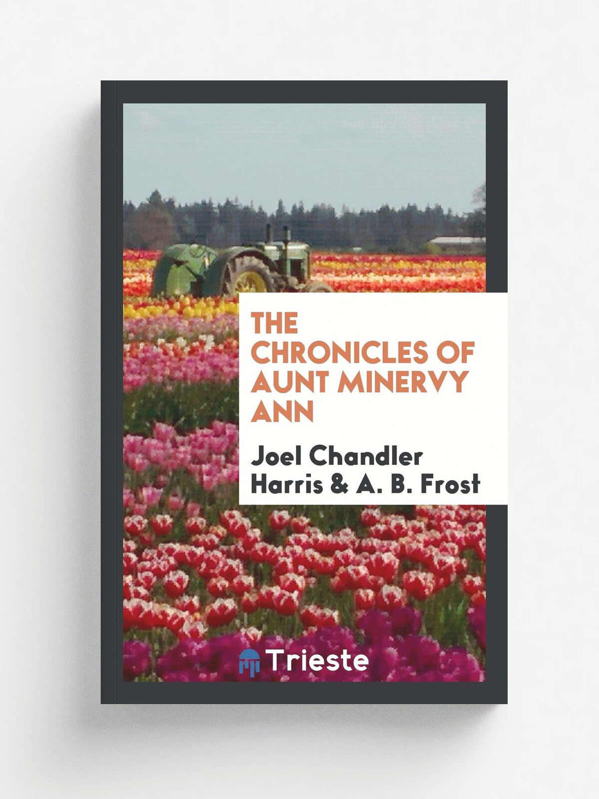 The Chronicles of Aunt Minervy Ann