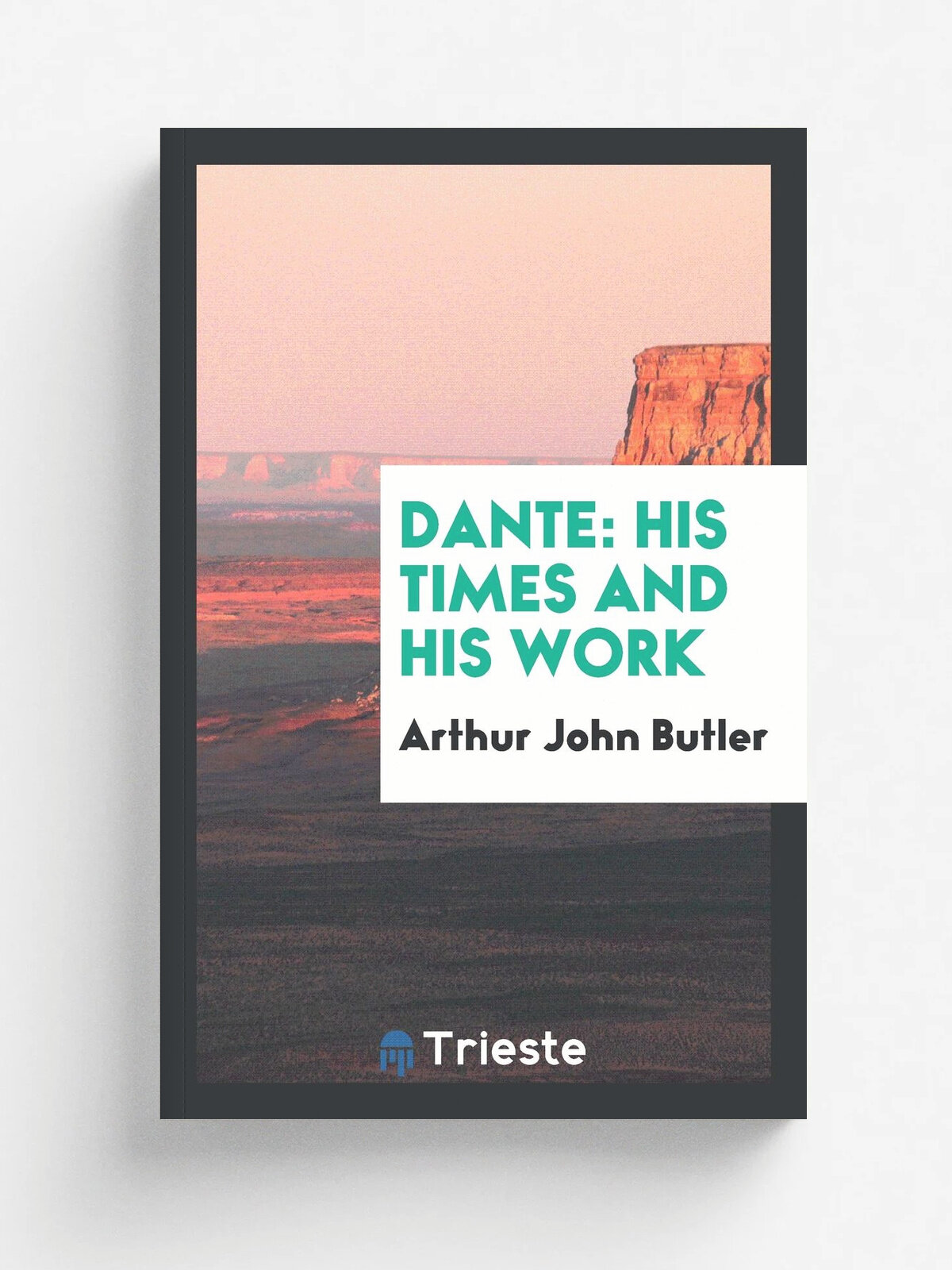 Dante. His Times and His Work