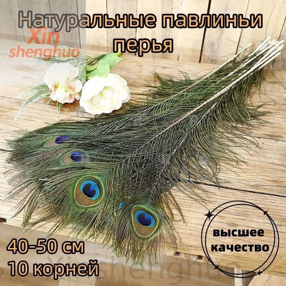 Натуральные перья павлина 10 шт