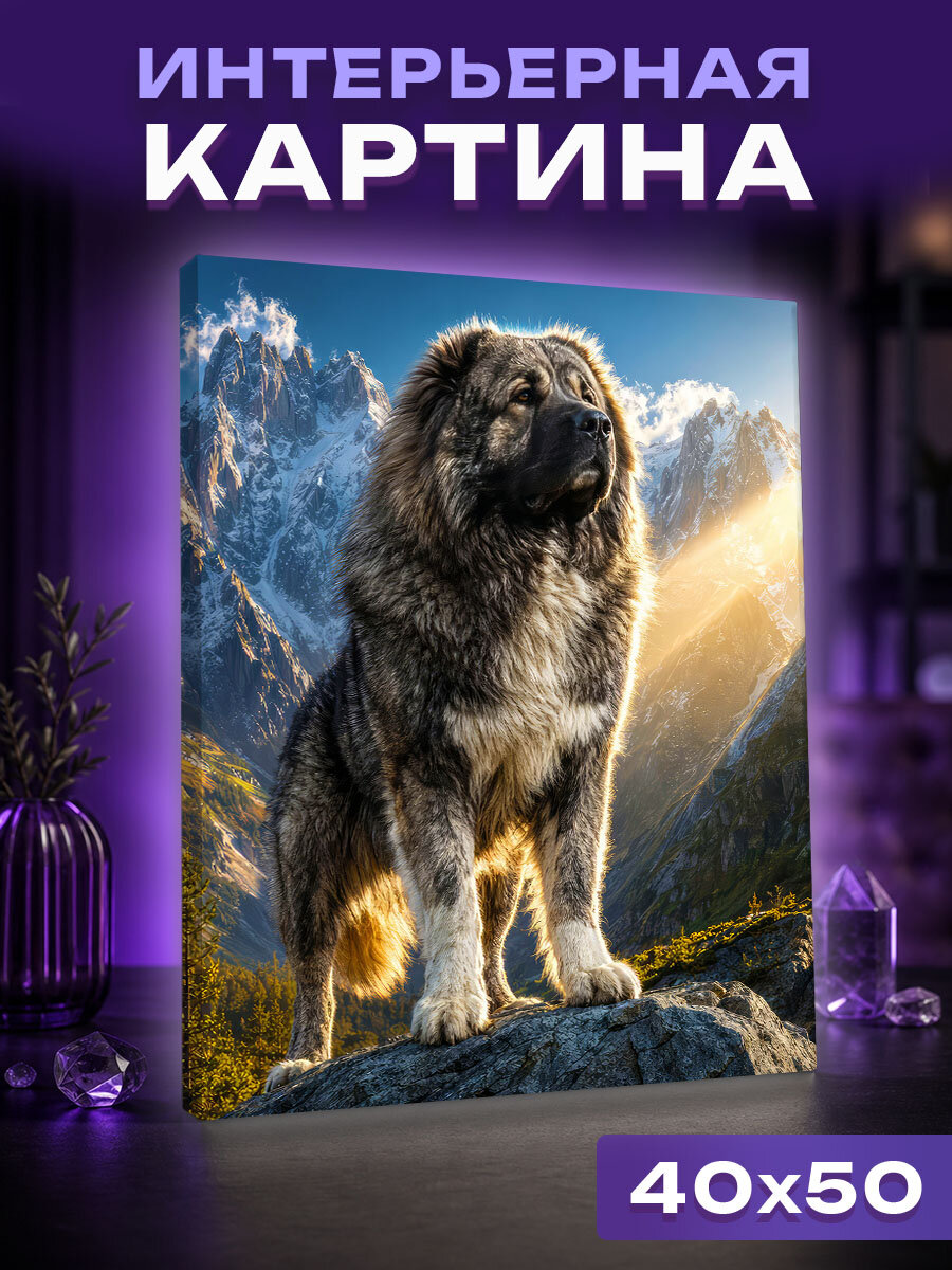 Интерьерная картина кавказская овчарка на скале на фоне гор