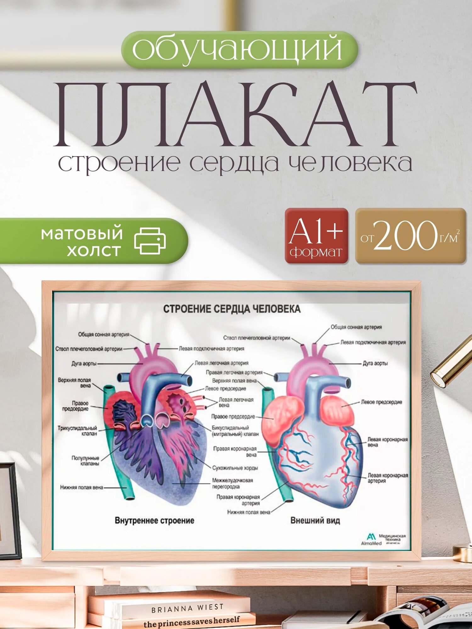 Обучающий плакат "Строение сердца человека", размер А1+, матовый холст от 200г/м2