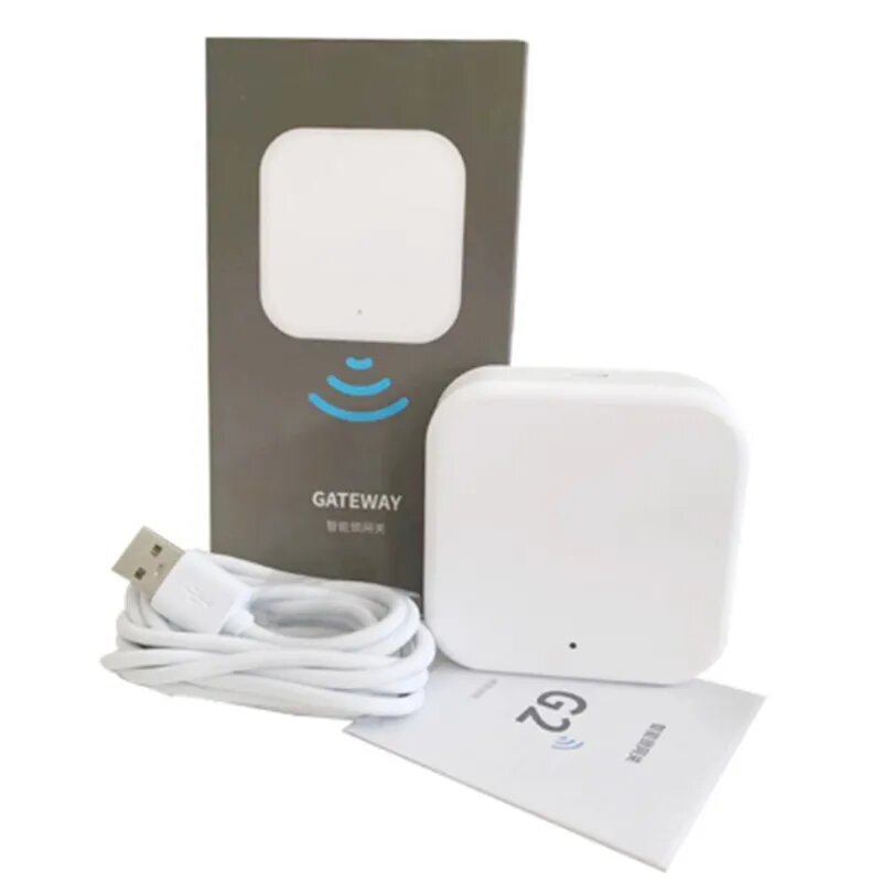 G2. "WiFi адаптер" для замка TTLock, Bluetooth и управление через приложение / питание Type-C, белый