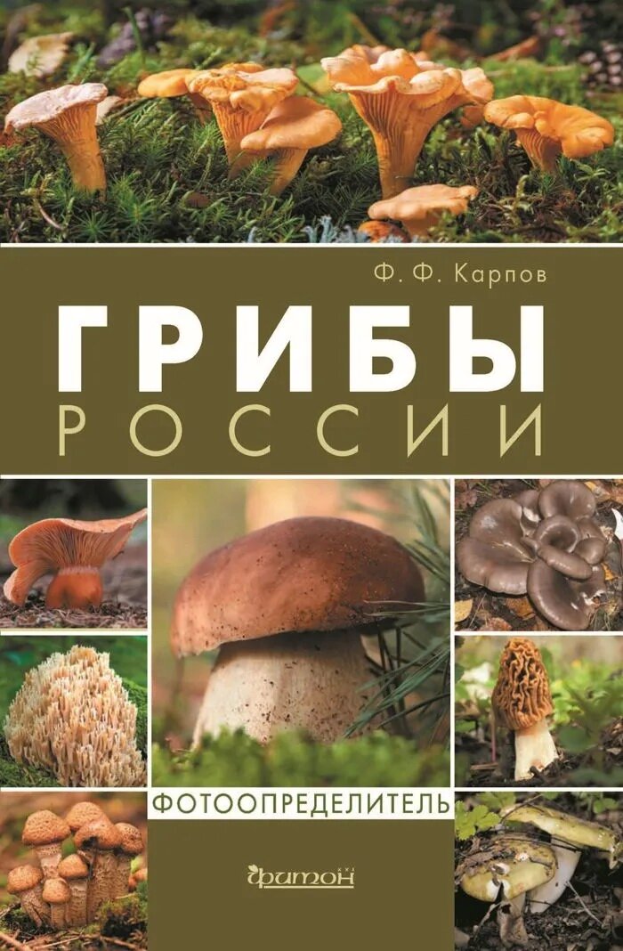 Грибы России, Фотоопределитель, Фитон плюс, 978-5-6054305-1-3
