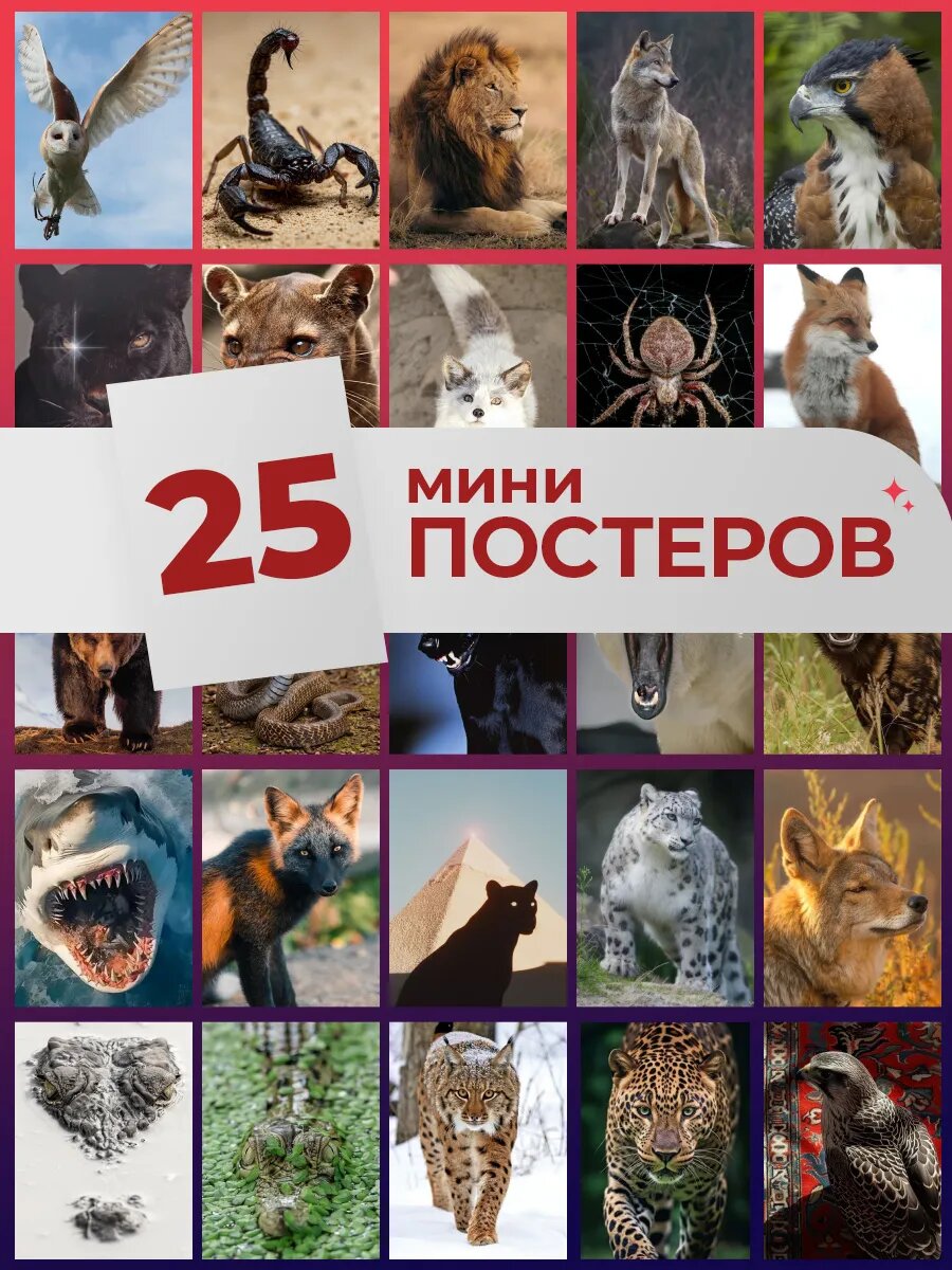 Эстетика постеры с хищными животными