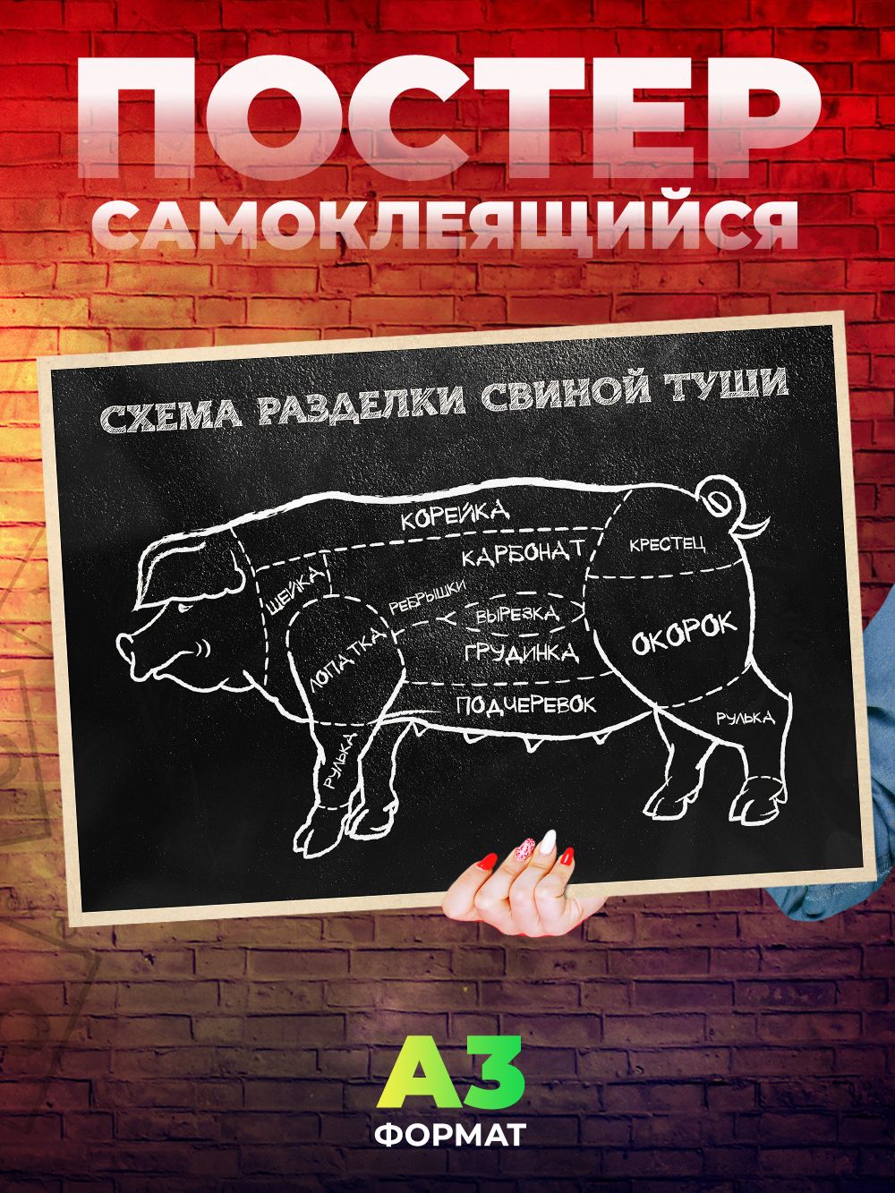 S371 Плакат Схема разделки свиной туши для кухни А3