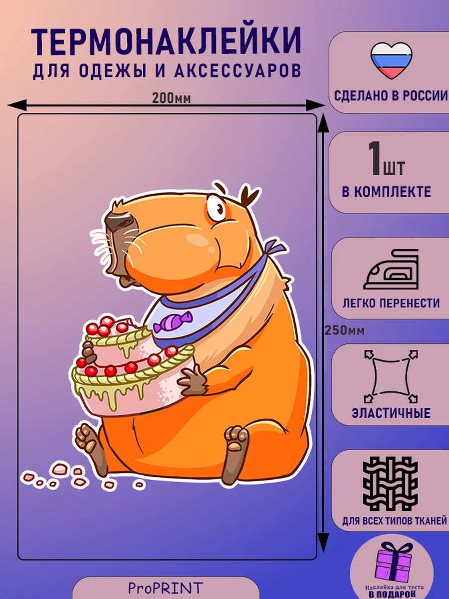 Термонаклейка на одежду