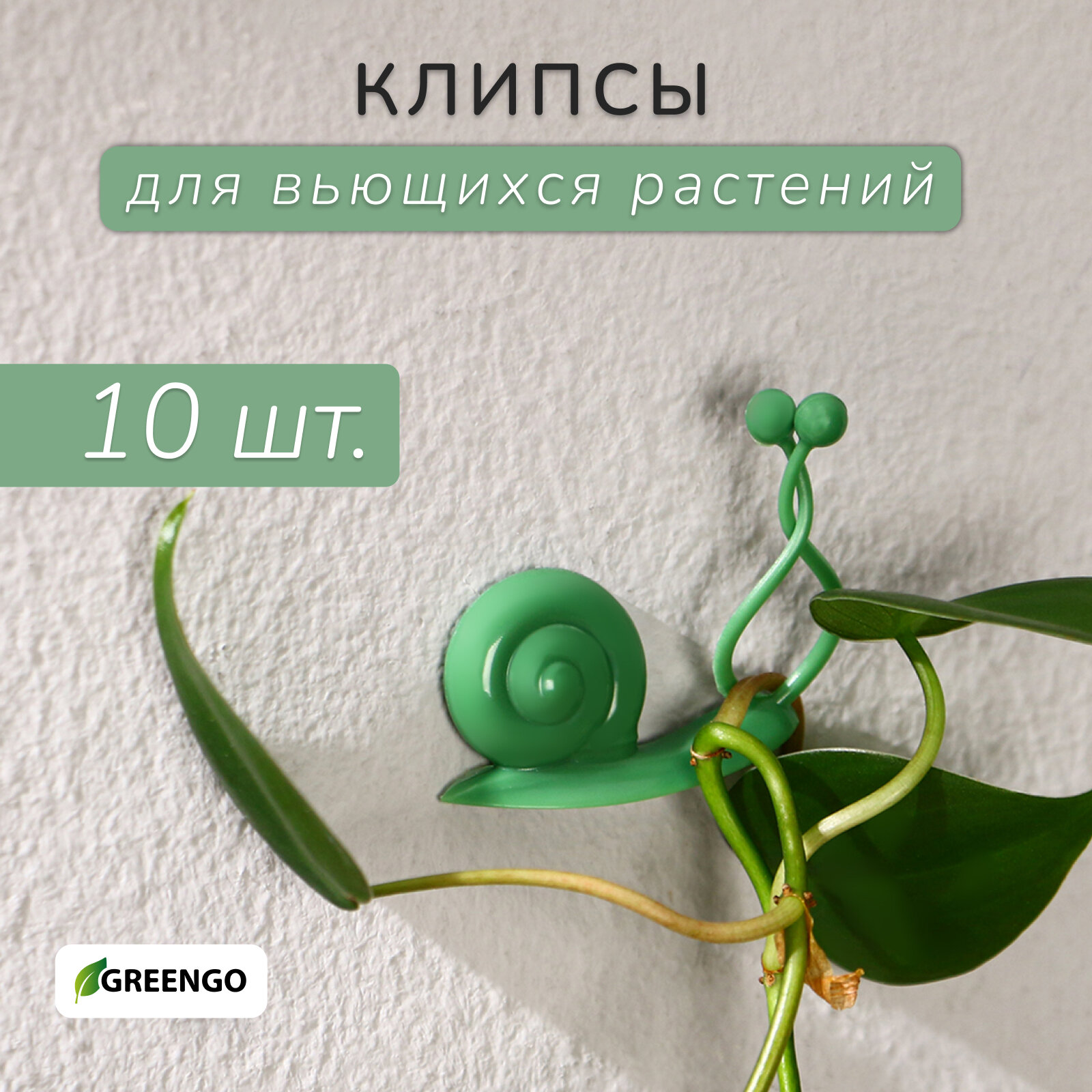 Крепления для вьющихся растений, настенные, самоклеящиеся, «Улитка», d=10 мм, набор 10 шт, Greengo