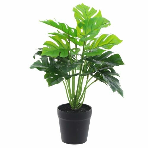 Цветочная композиция Remeco Collection "Монстера", 33х33х35 см (814516)