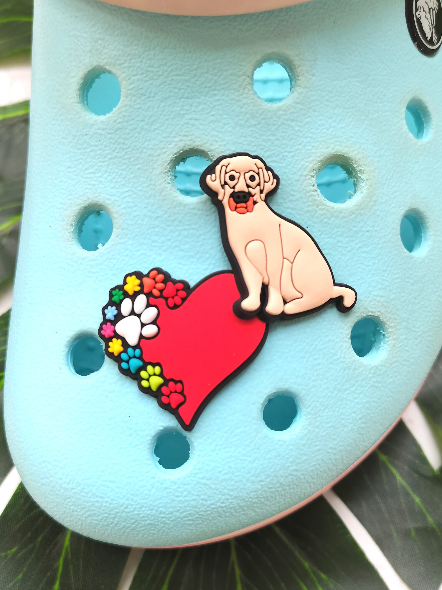 Джибитсы для crocs собака Лабрадор