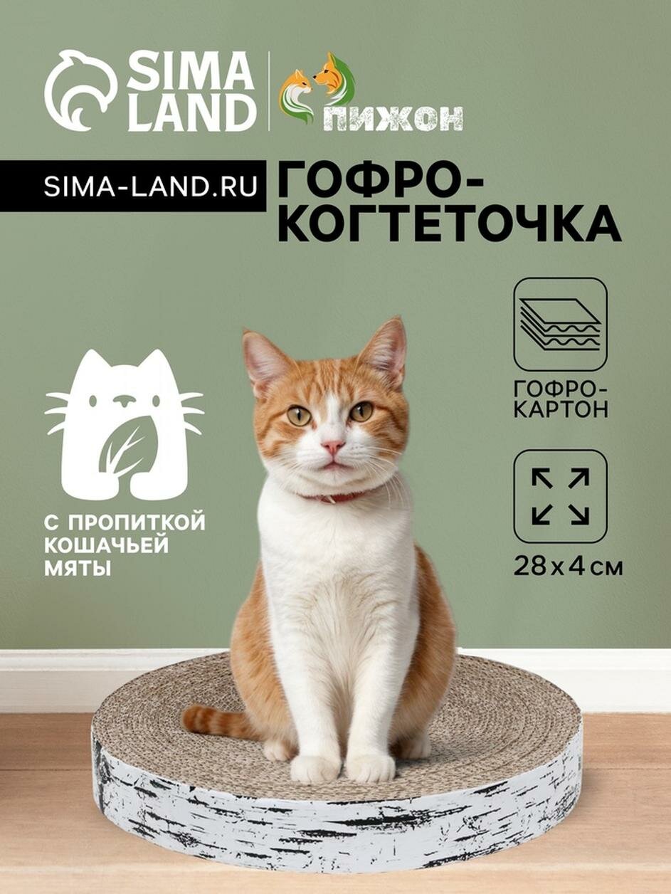 Гофрокогтеточка "Пижон" высокая круглая "Спил березы", с пропиткой, 28 х 4 см