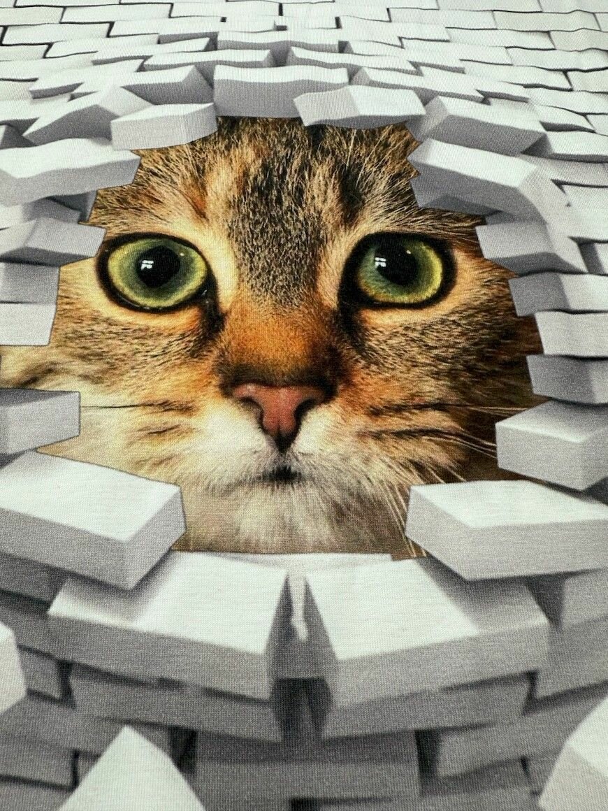 Ткань Кулирка с диджитальным принтом Кот в кирпичах 60х65 / передняя полочка