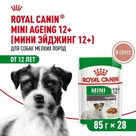 ROYAL CANIN MINI AGEING 12+ 28 шт по 85 г кусочки в соусе, влажный корм для стареющих собак мелких размеров старше 12 лет